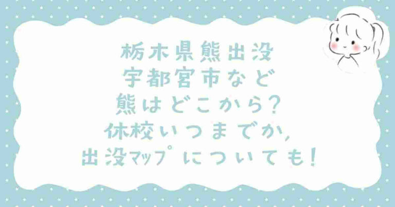 栃木県熊出没/宇都宮市など熊はどこから?休校いつまでか,出没ﾏｯﾌﾟについても | 虹のブログ
